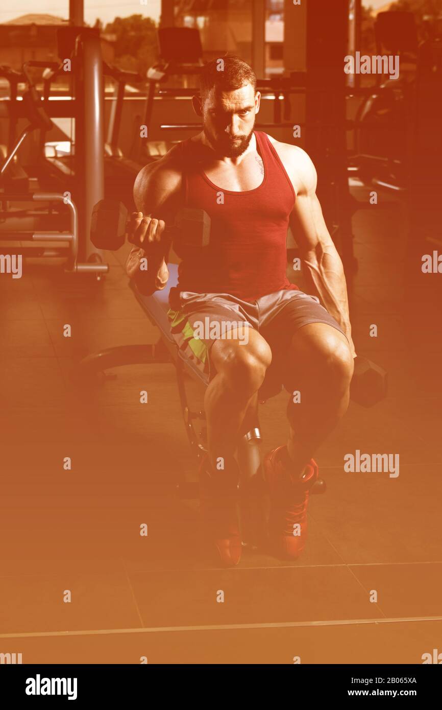 Athlete Working Out Biceps In A Gym - Dumbbell Concentration Curls ...