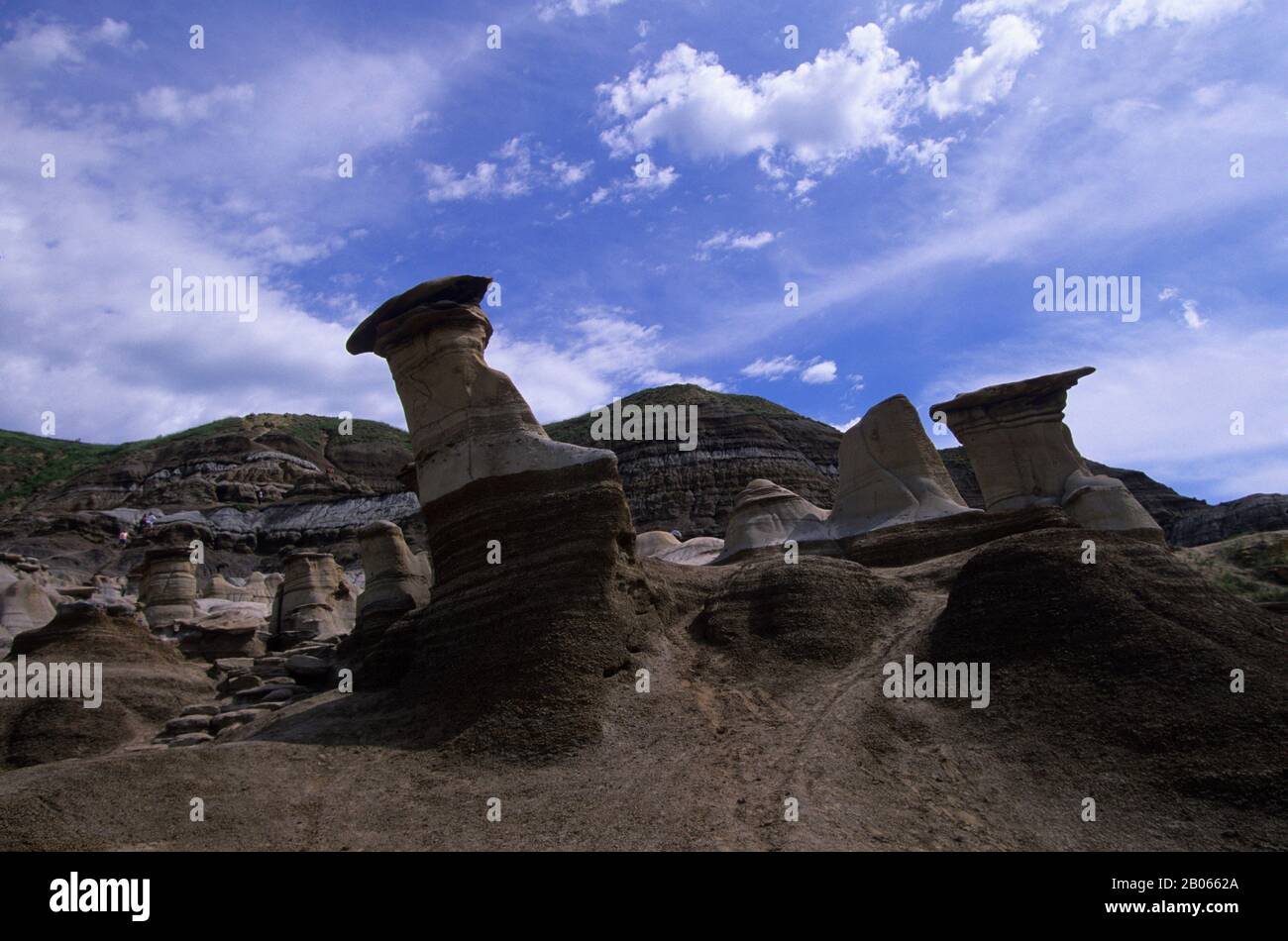 CANADA, ALBERTA, NEAR DRUMHELLER, CANADIAN BADLANDS, HOODOOS (SANDSTONE ...