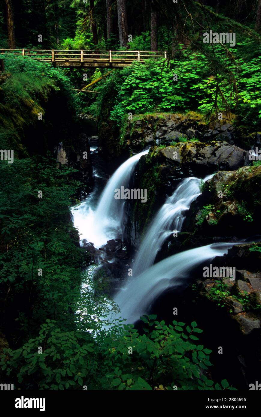 USA, WASHINGTON, OLYMPIC NATIONAL PARK, SOL DUC FALLS, BRIDGE Stock ...