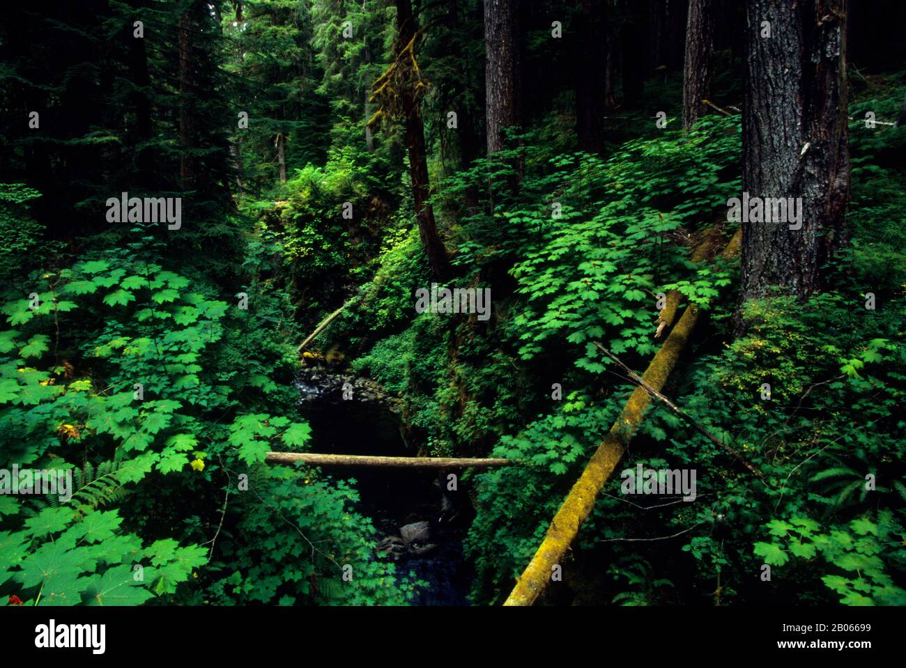Sol duc falls area hi-res stock photography and images - Alamy