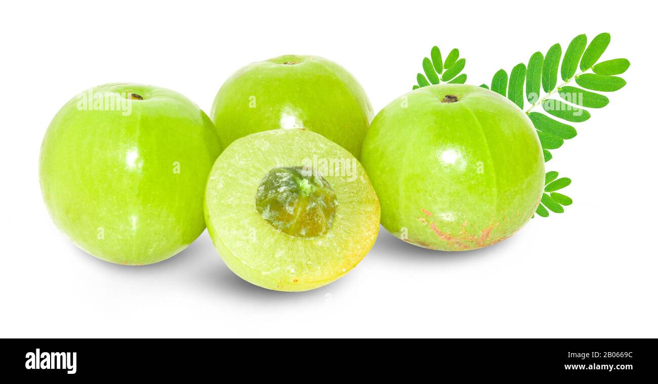 Amla green fruits ,Phyllanthus emblica isolated on white background ...