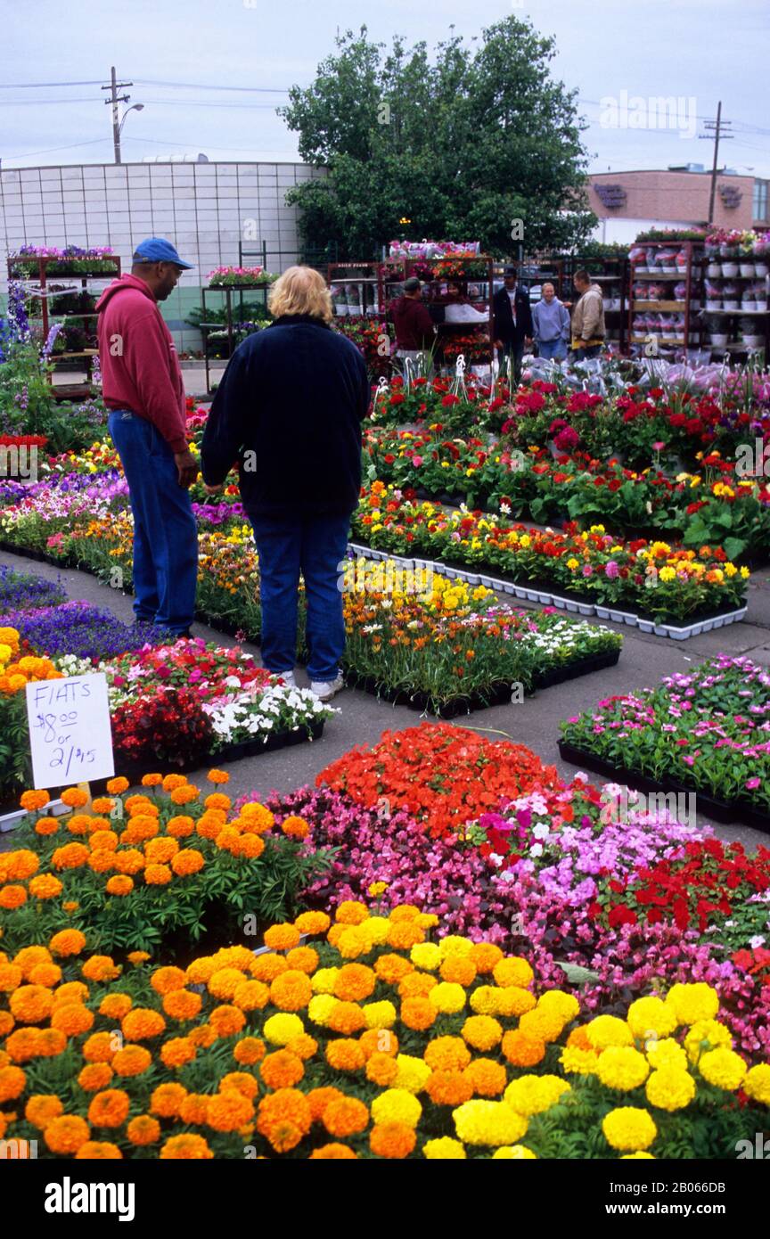 Eastern market detroit michigan hi-res stock photography and images - Alamy