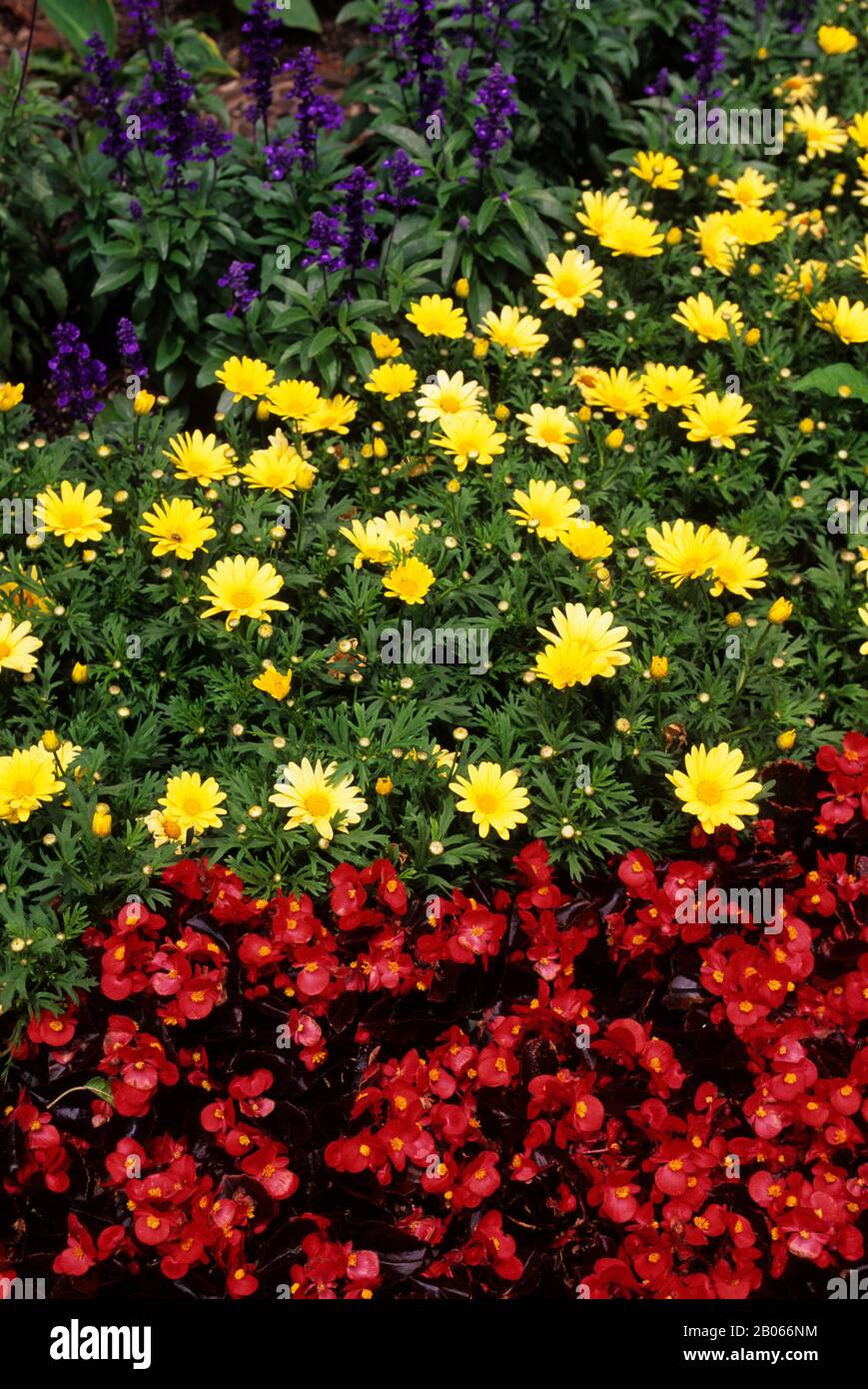 USA, MICHIGAN, DETROIT, DOWNTOWN, STREET SCENE WITH FLOWERS Stock Photo ...