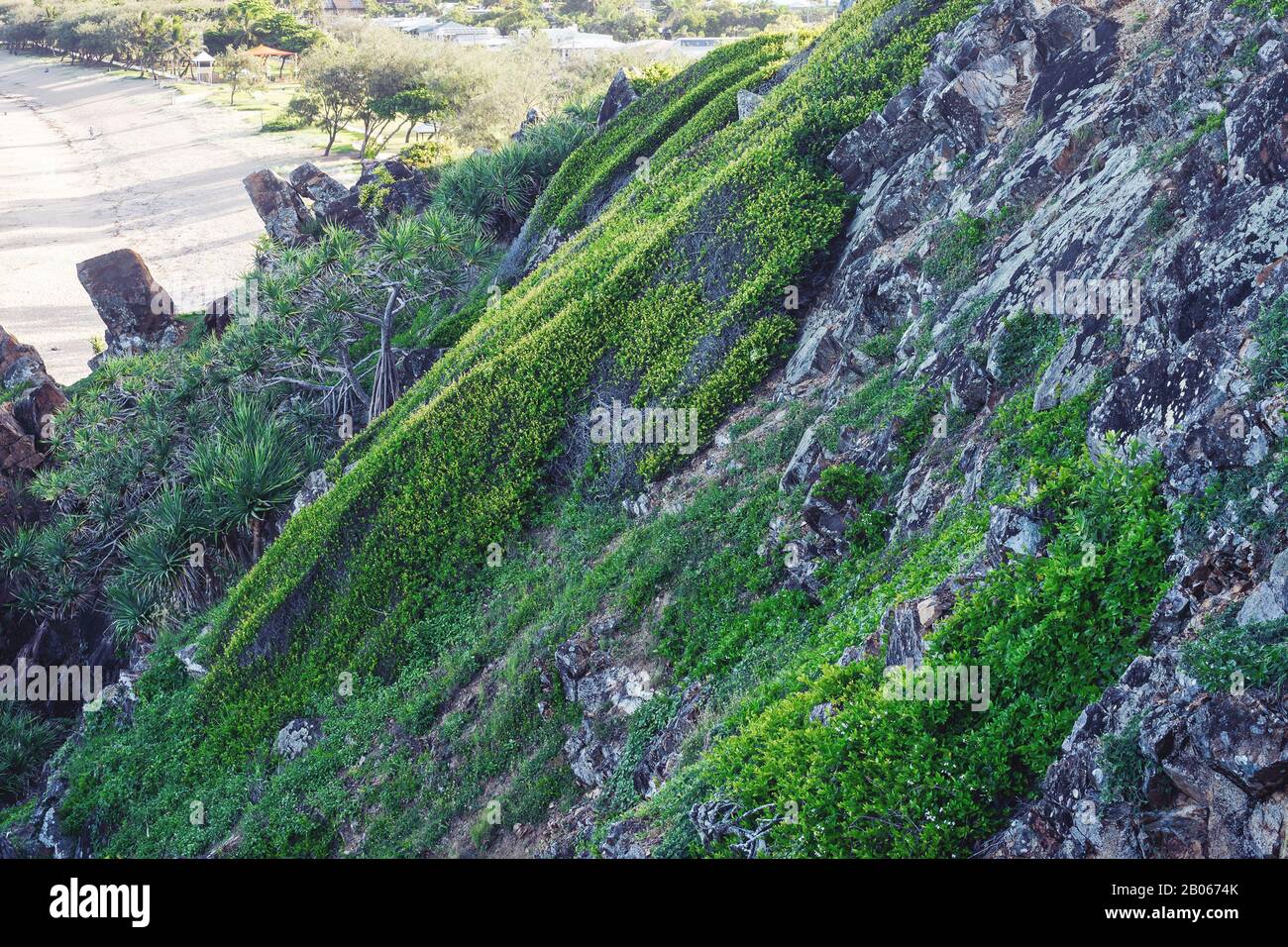 Vegetation climbing up a rock cliff with a bright sunny beach in the ...