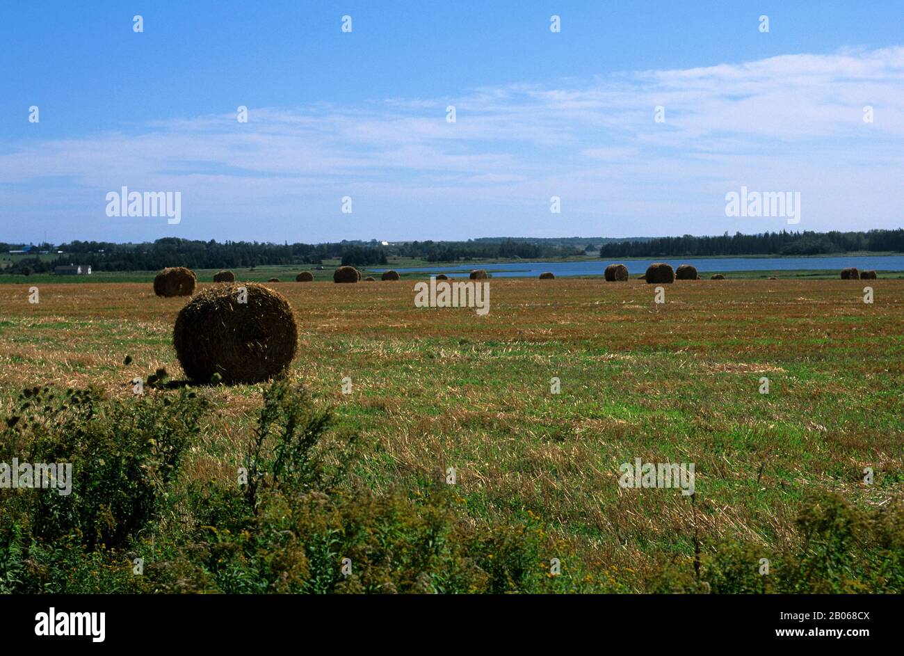 Field straw bales island hi-res stock photography and images - Alamy