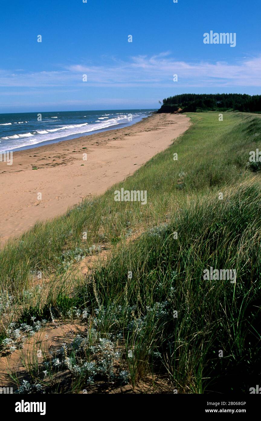 CANADA, PRINCE EDWARD ISLAND, PANMURE ISLAND PROVINCIAL PARK, DUNES ...