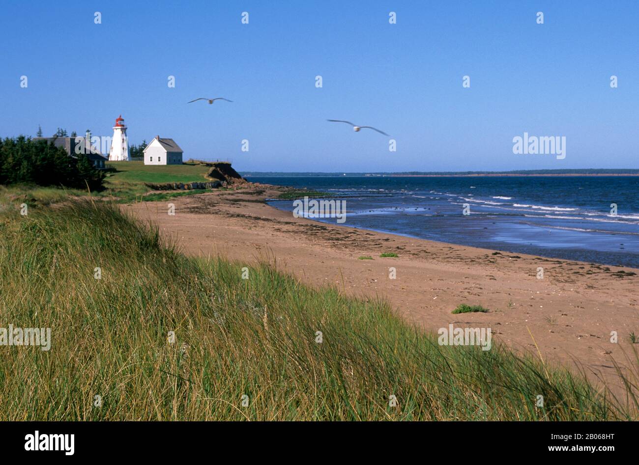 CANADA, PRINCE EDWARD ISLAND, PANMURE ISLAND PROVINCIAL PARK, BEACH ...