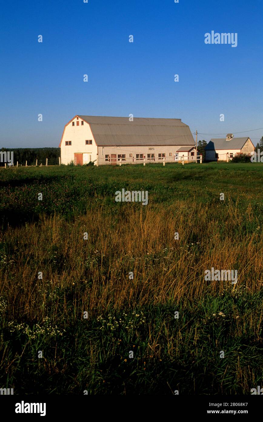 Prince edward island barn hi-res stock photography and images - Alamy