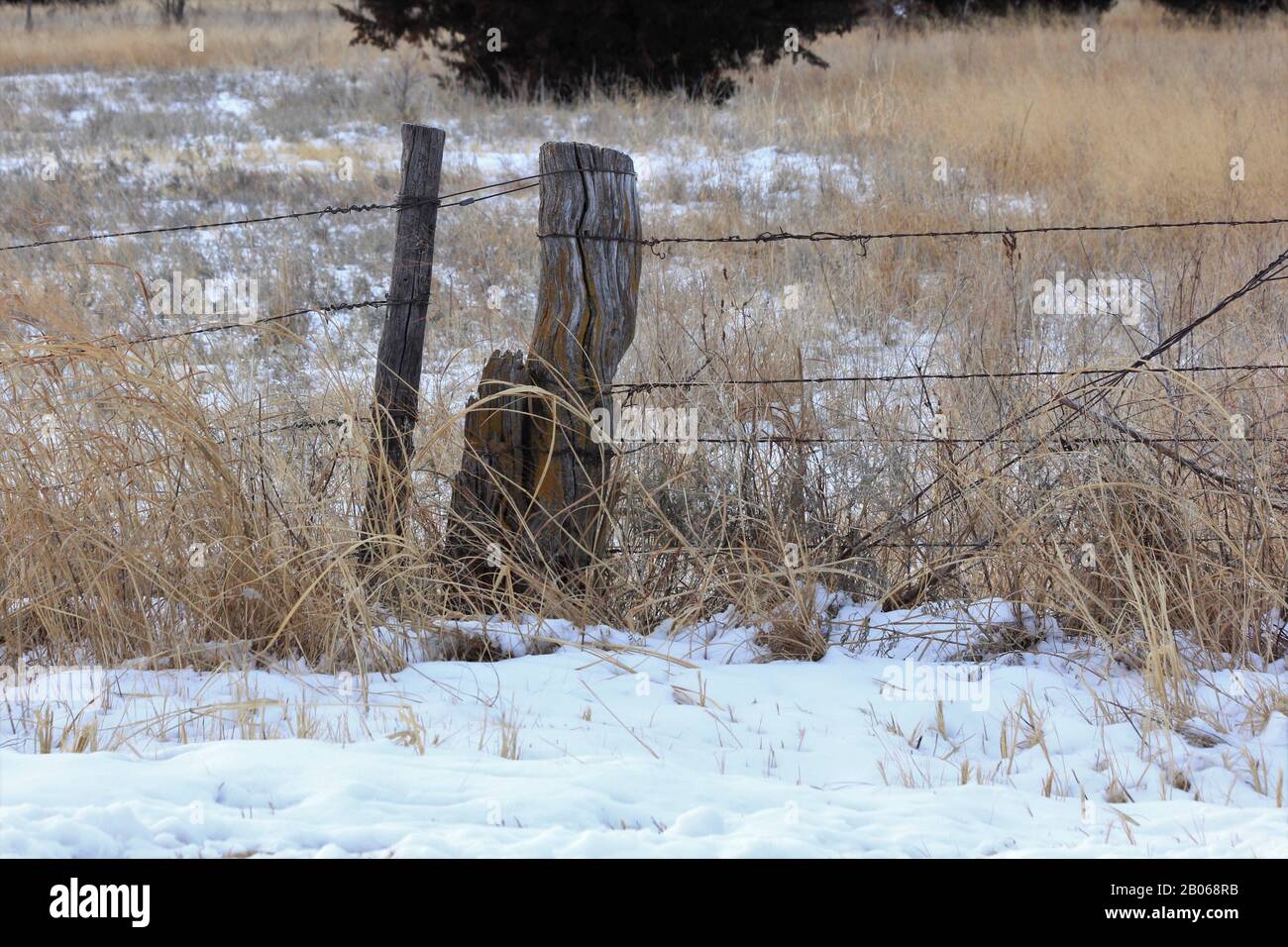 Kansas Snowy fence with Prairie grass Stock Photo - Alamy