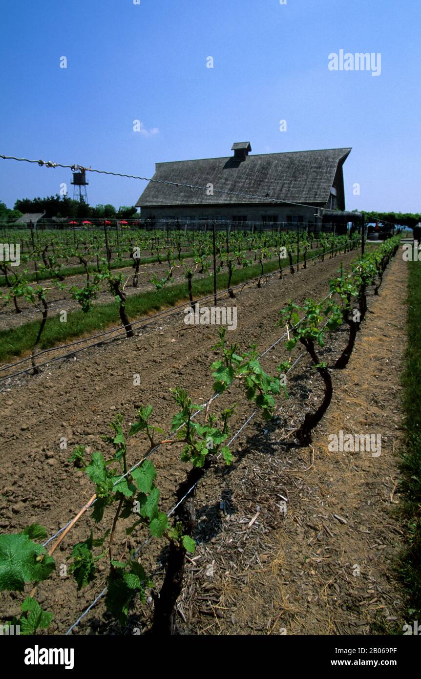 Inniskillin winery hi-res stock photography and images - Alamy