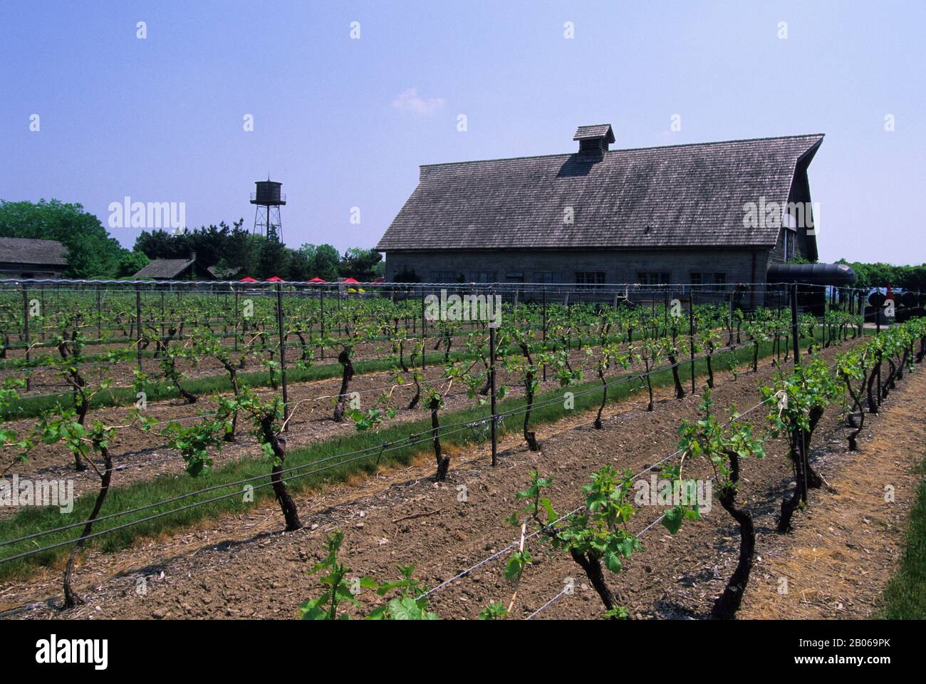 CANADA ONTARIO NIAGARA-ON-THE-LAKE, INNISKILLIN WINERY Stock Photo - Alamy