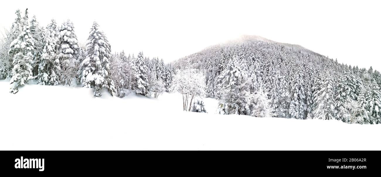 winter, Japan, snow, mountains, Yasugatake, trees, natural, white, cold ...