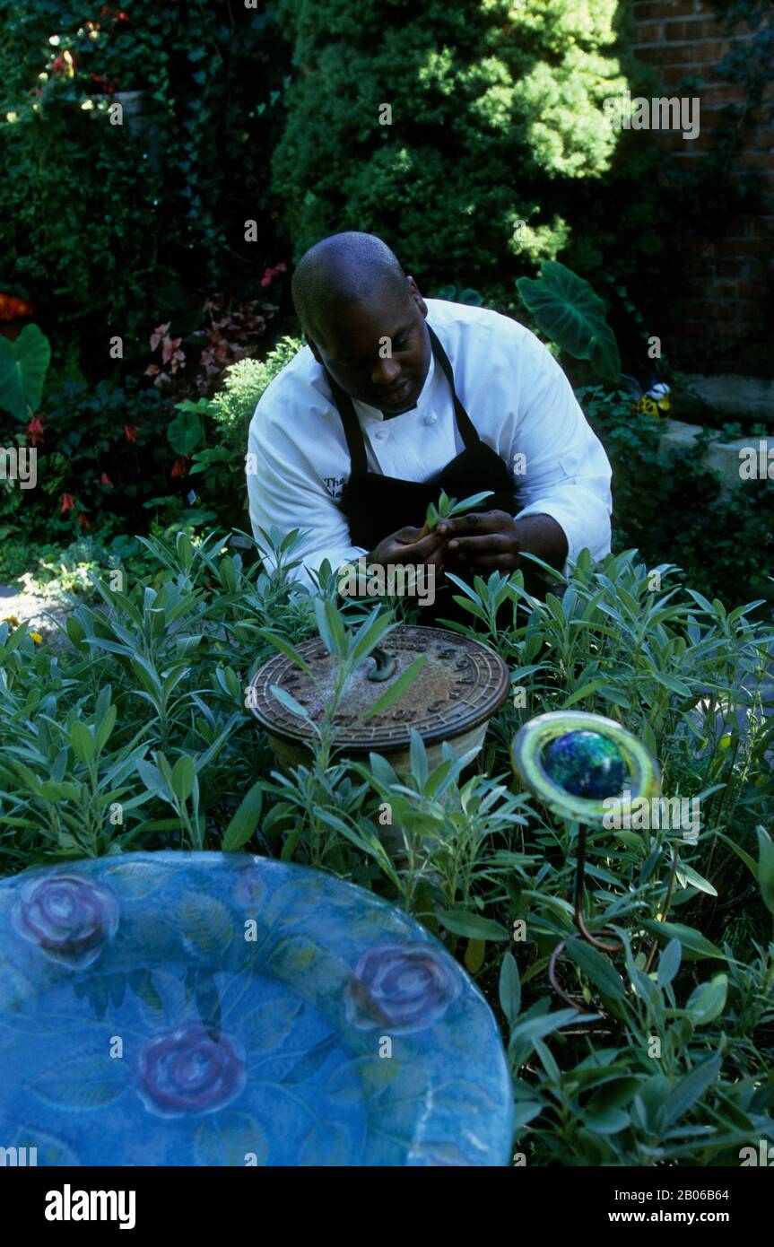 USA, MICHIGAN, NEAR DETROIT,W. BLOOMFIELD, THE LARK RESTAURANT, CHEF ...