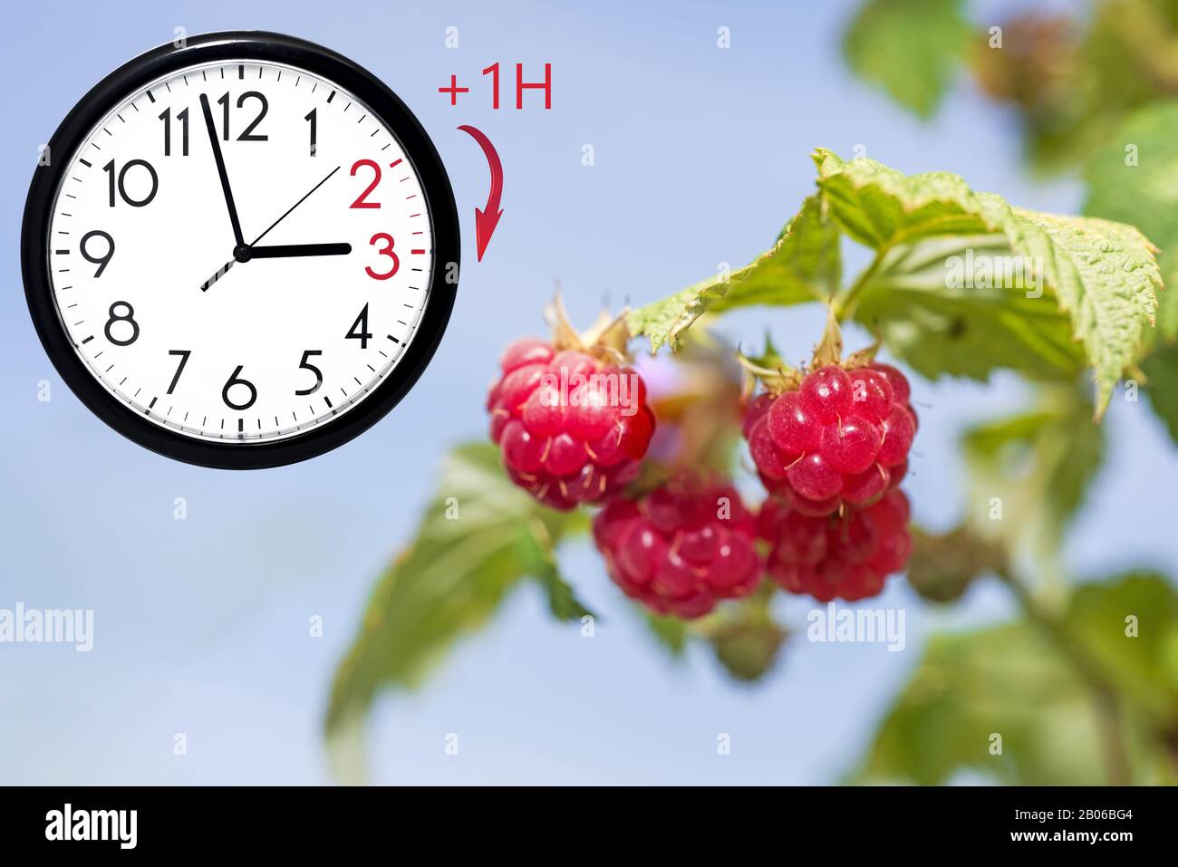Dst group hi-res stock photography and images - Alamy
