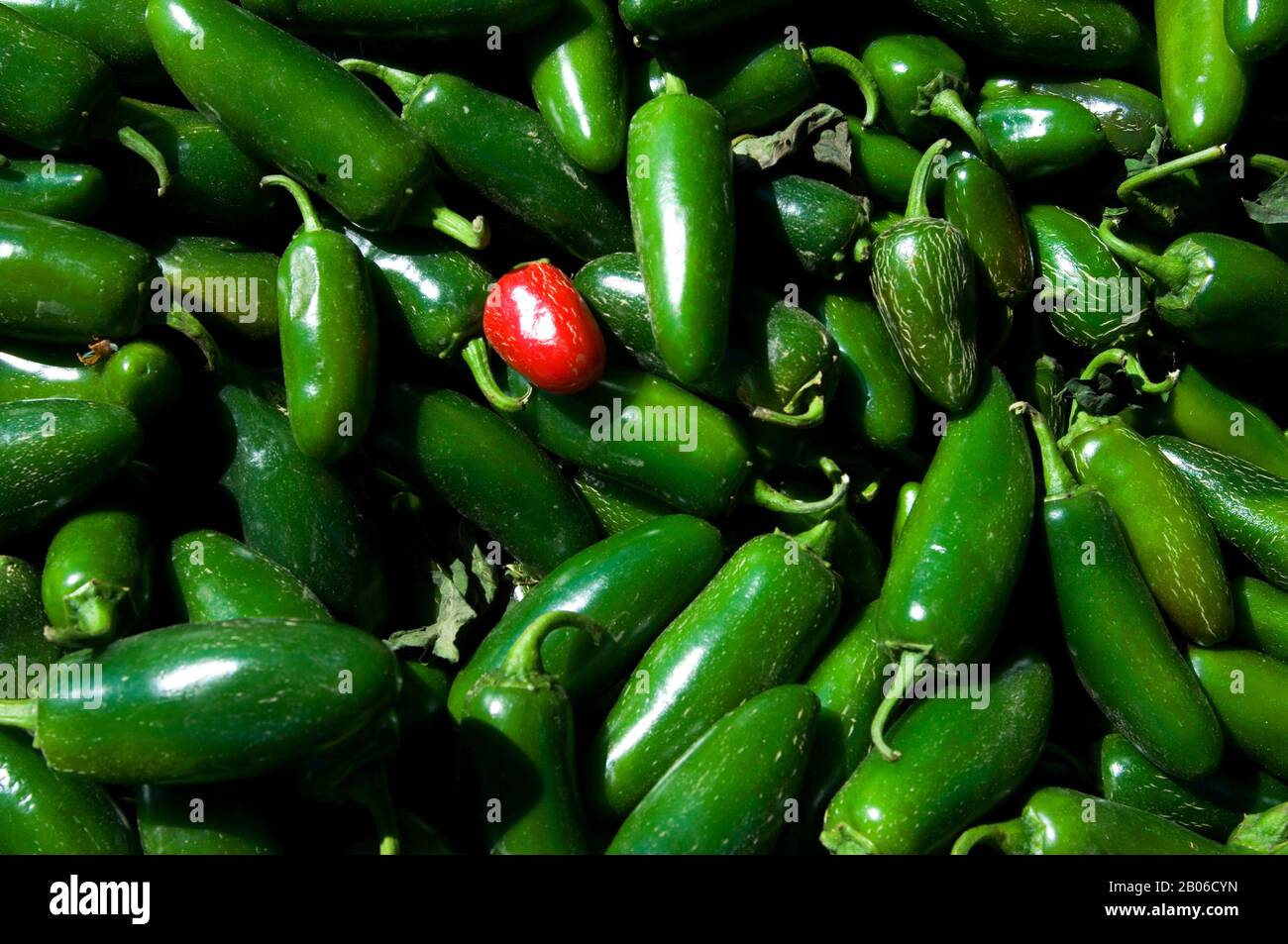 The green state hi-res stock photography and images - Alamy