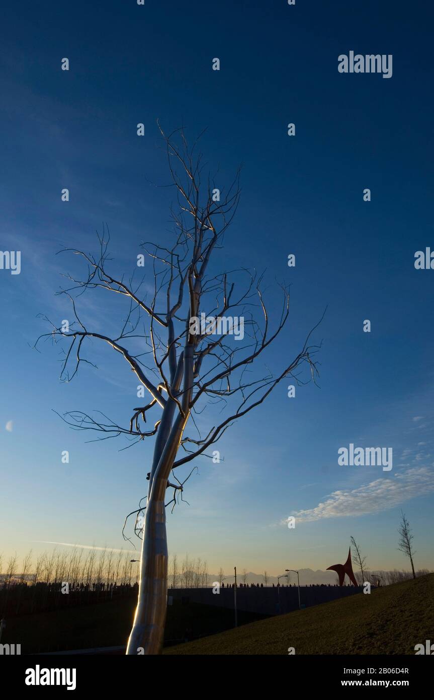 Olympic sculpture park washington tree hi-res stock photography and ...