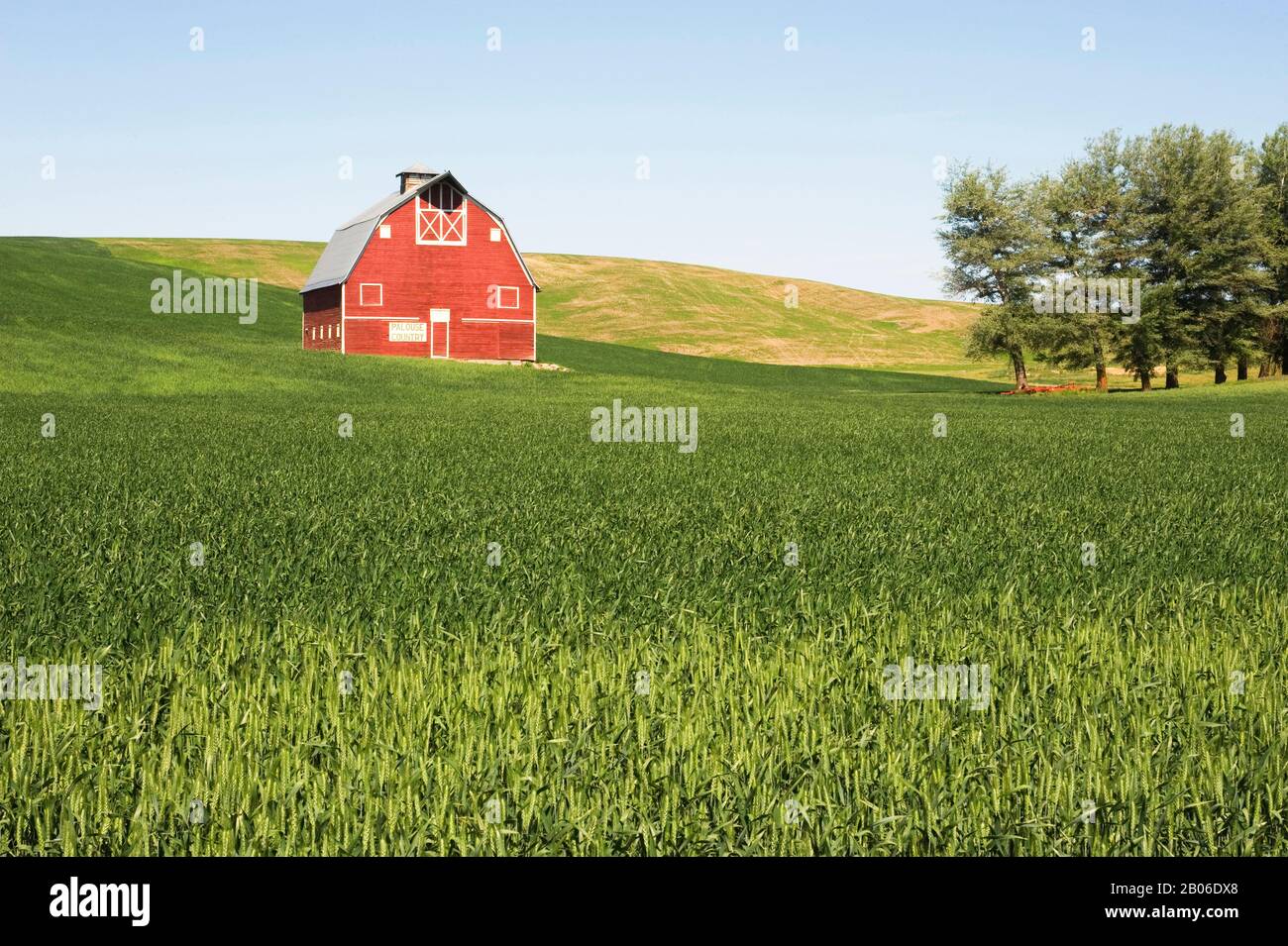 USA, WASHINGTON STATE, PALOUSE, RED BARN IN WHEAT FIELD Stock Photo - Alamy