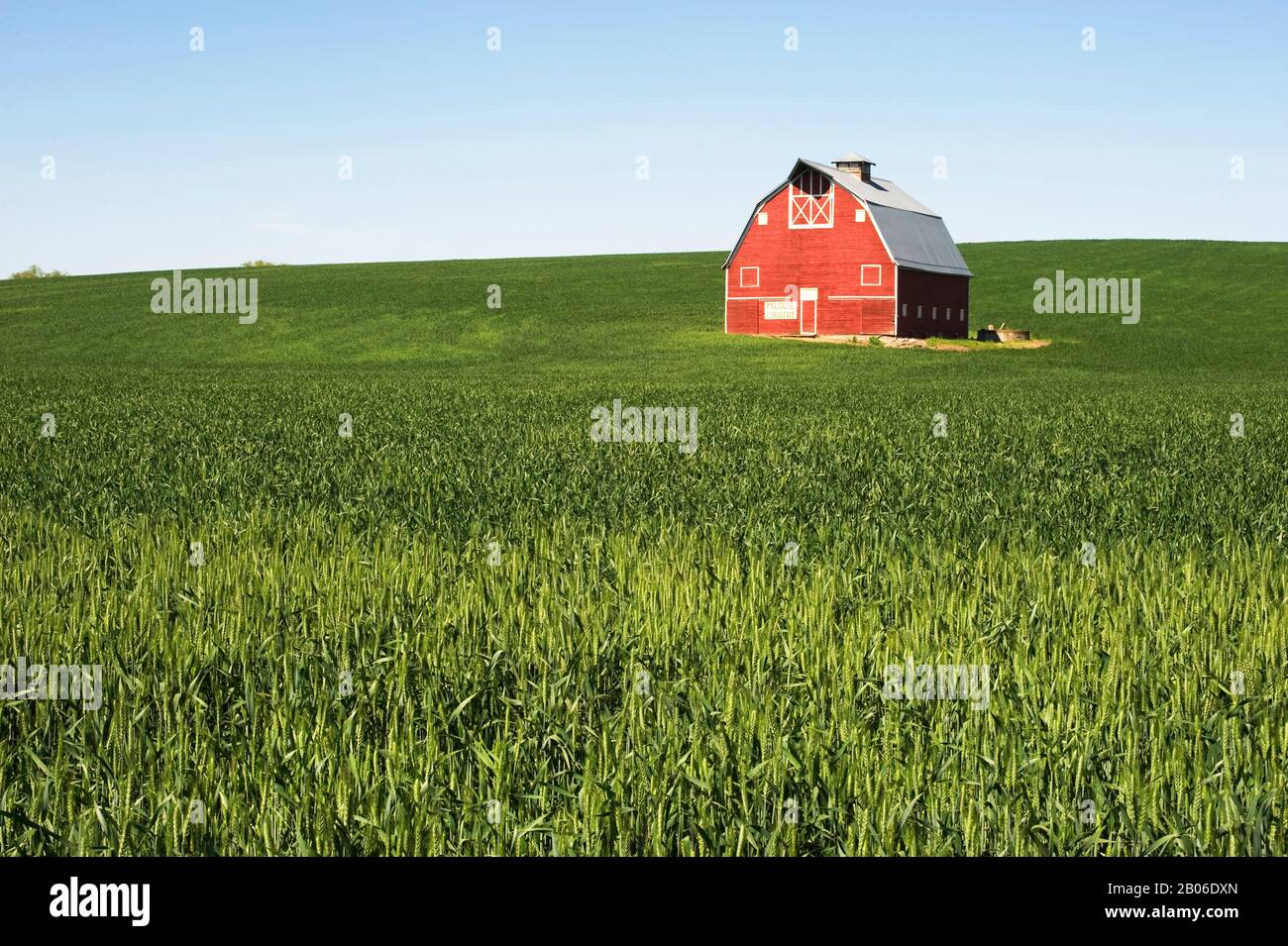 USA, WASHINGTON STATE, PALOUSE, RED BARN IN WHEAT FIELD Stock Photo - Alamy
