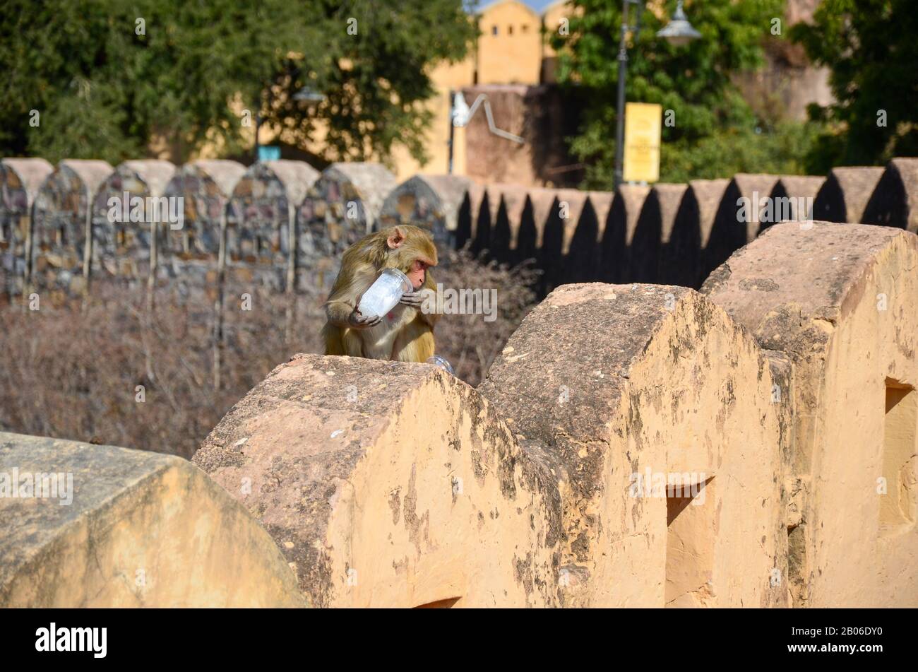 Nahargarh Fort or Tiger Fort in Jaipur, Rajasthan, India Stock Photo ...