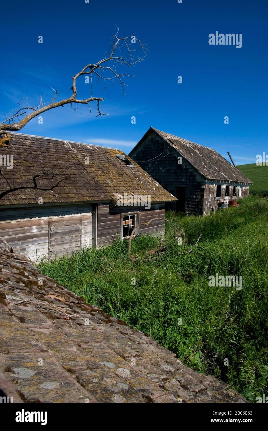USA, WASHINGTON STATE, PALOUSE COUNTRY, ABANDONED FARM Stock Photo - Alamy