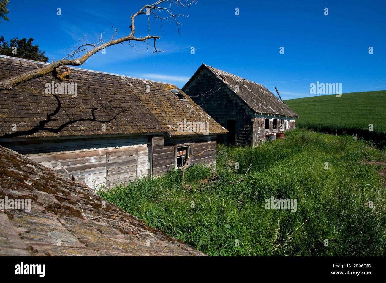 USA, WASHINGTON STATE, PALOUSE COUNTRY, ABANDONED FARM Stock Photo - Alamy