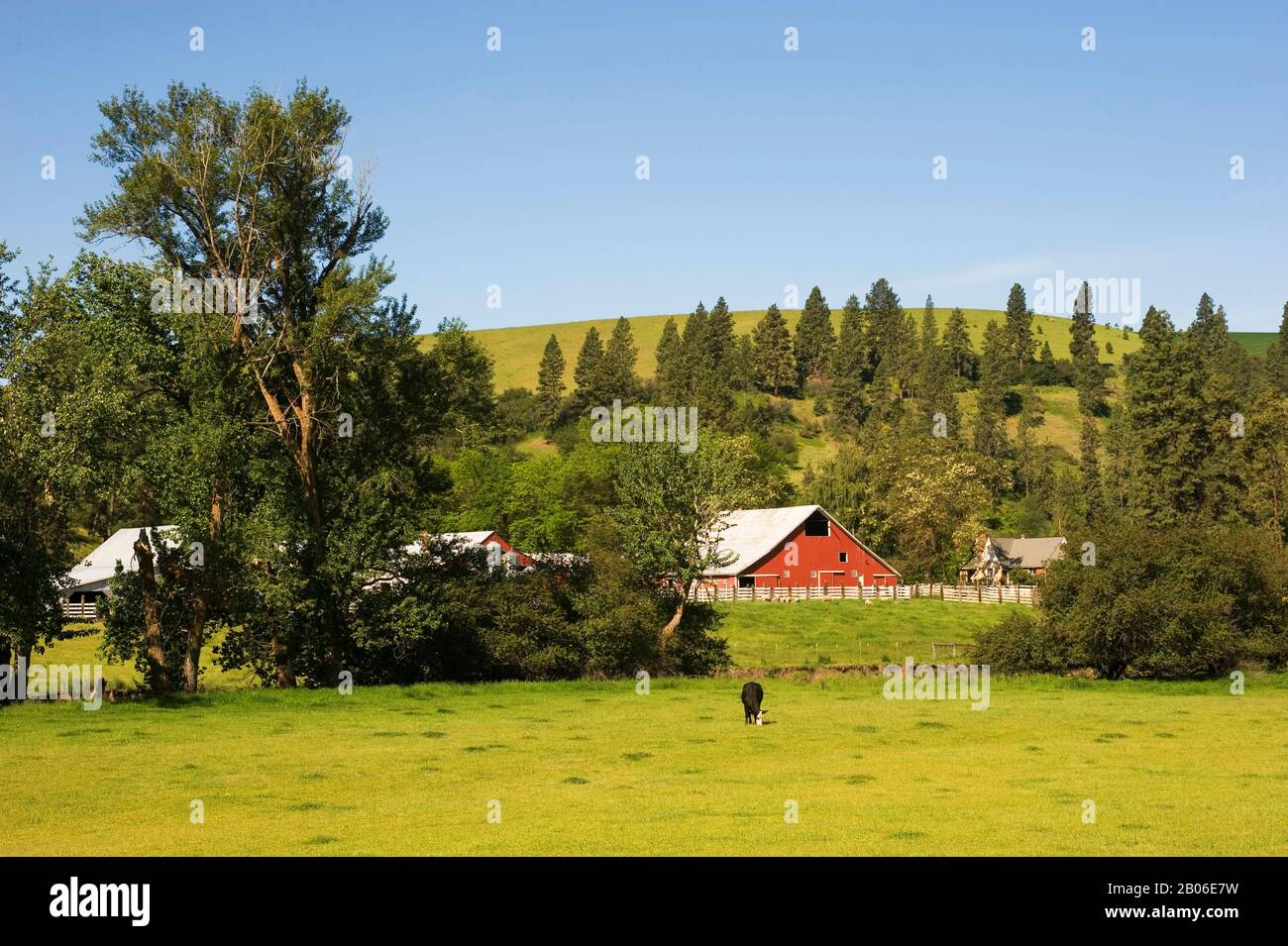 USA, WASHINGTON STATE, PALOUSE COUNTRY, FARM WITH RED BARN Stock Photo ...