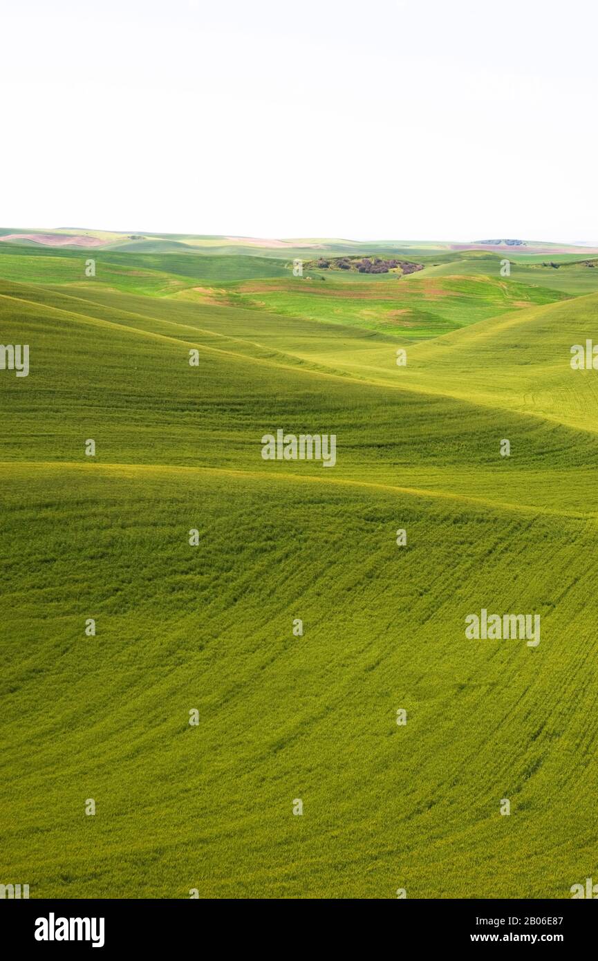 Palouse wheat fields hills hi-res stock photography and images - Alamy