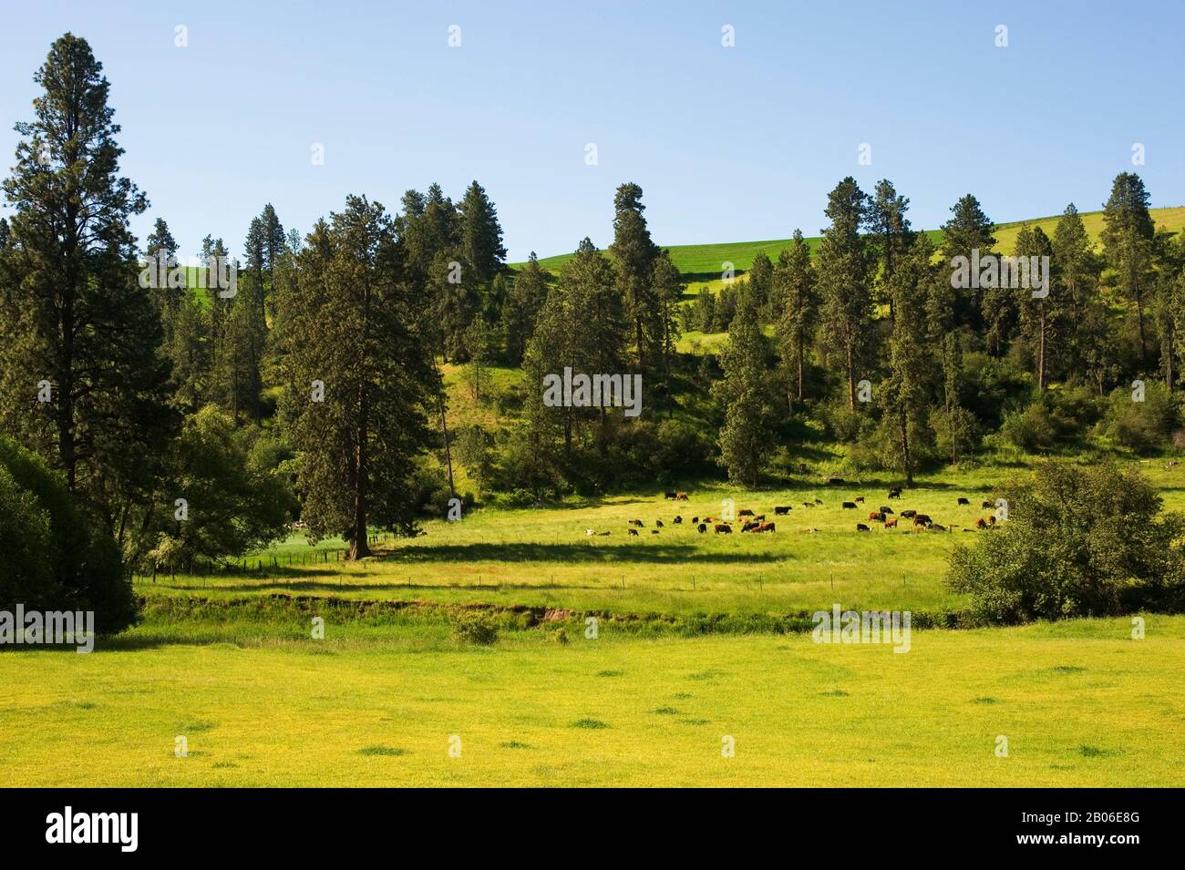 Palouse country hi-res stock photography and images - Alamy