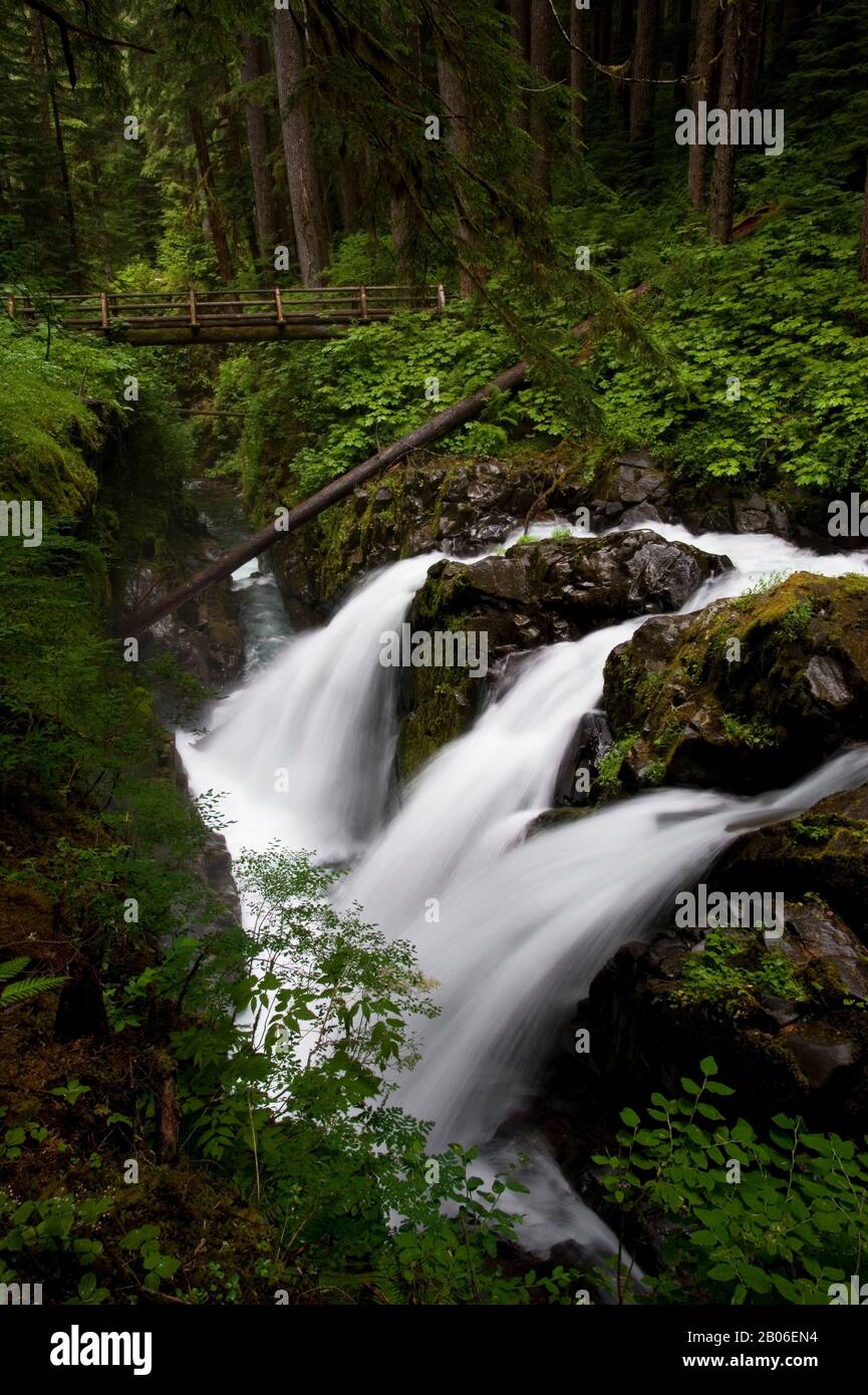 USA, WASHINGTON STATE, OLYMPIC PENINSULA, OLYMPIC NATIONAL PARK, SOL ...
