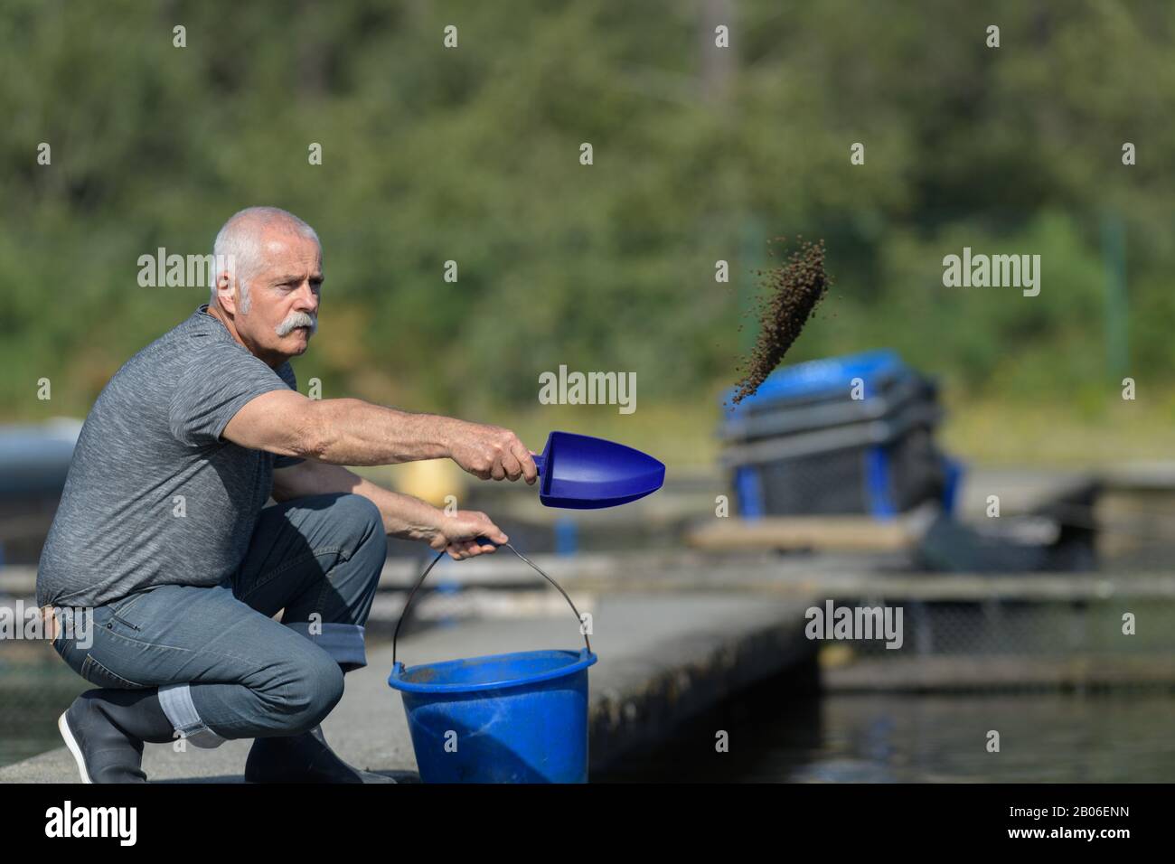 fisheries farmer tossing food into water Stock Photo - Alamy