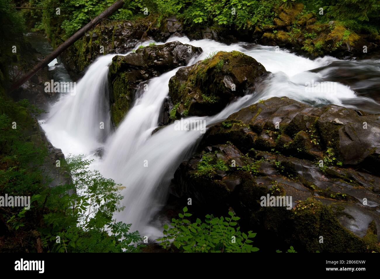 USA, WASHINGTON STATE, OLYMPIC PENINSULA, OLYMPIC NATIONAL PARK, SOL ...