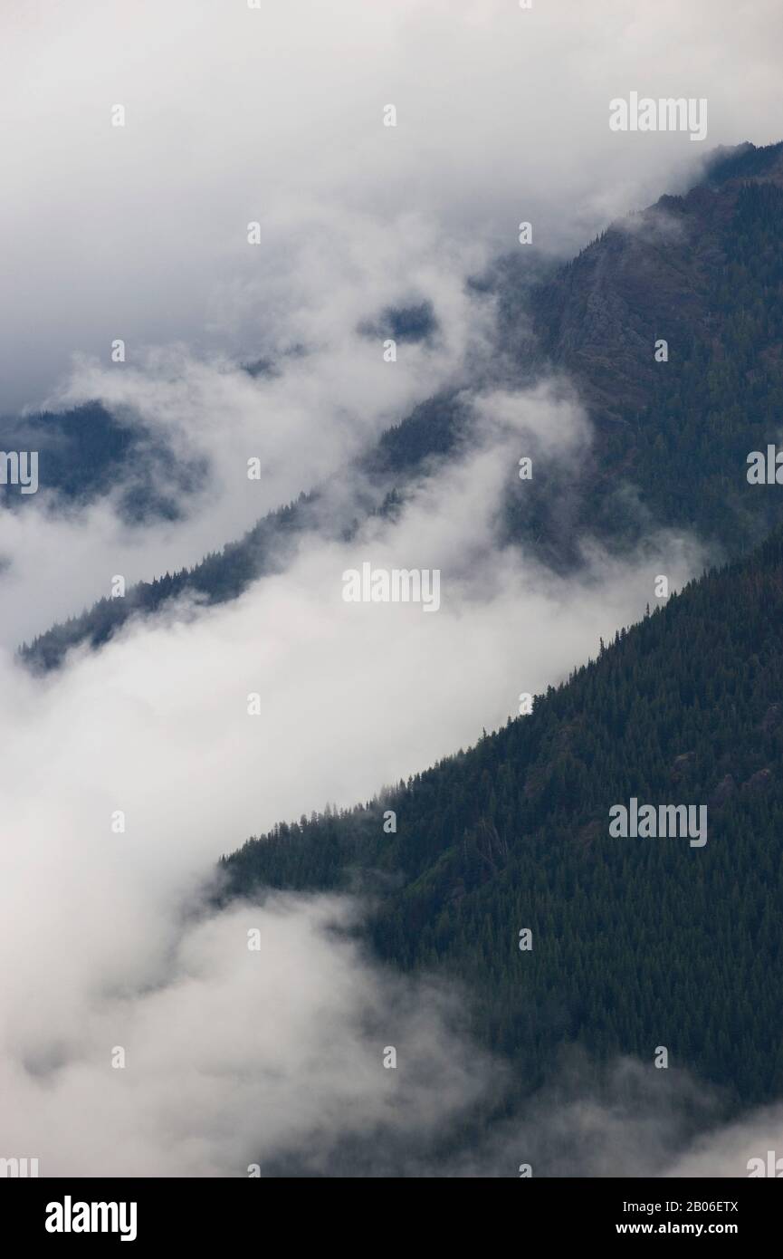 USA, WASHINGTON STATE, OLYMPIC PENINSULA, OLYMPIC NATIONAL PARK, VIEW ...