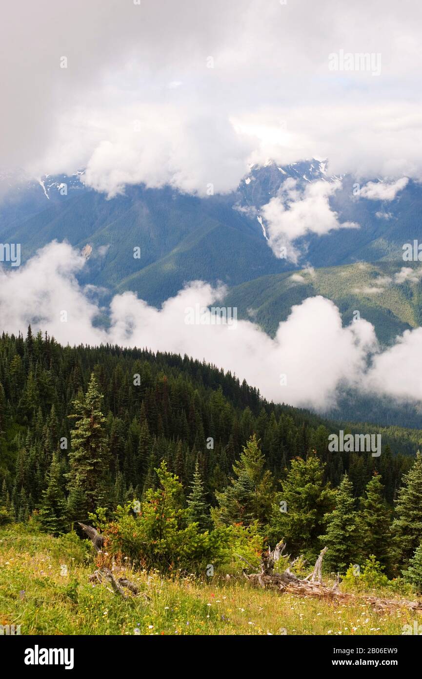 USA, WASHINGTON STATE, OLYMPIC PENINSULA, OLYMPIC NATIONAL PARK, VIEW ...