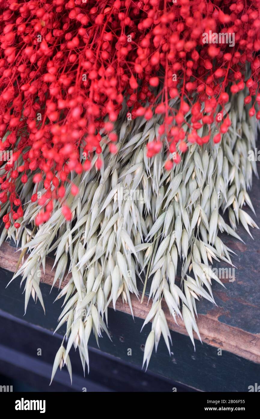 Seattle flower market hi-res stock photography and images - Alamy