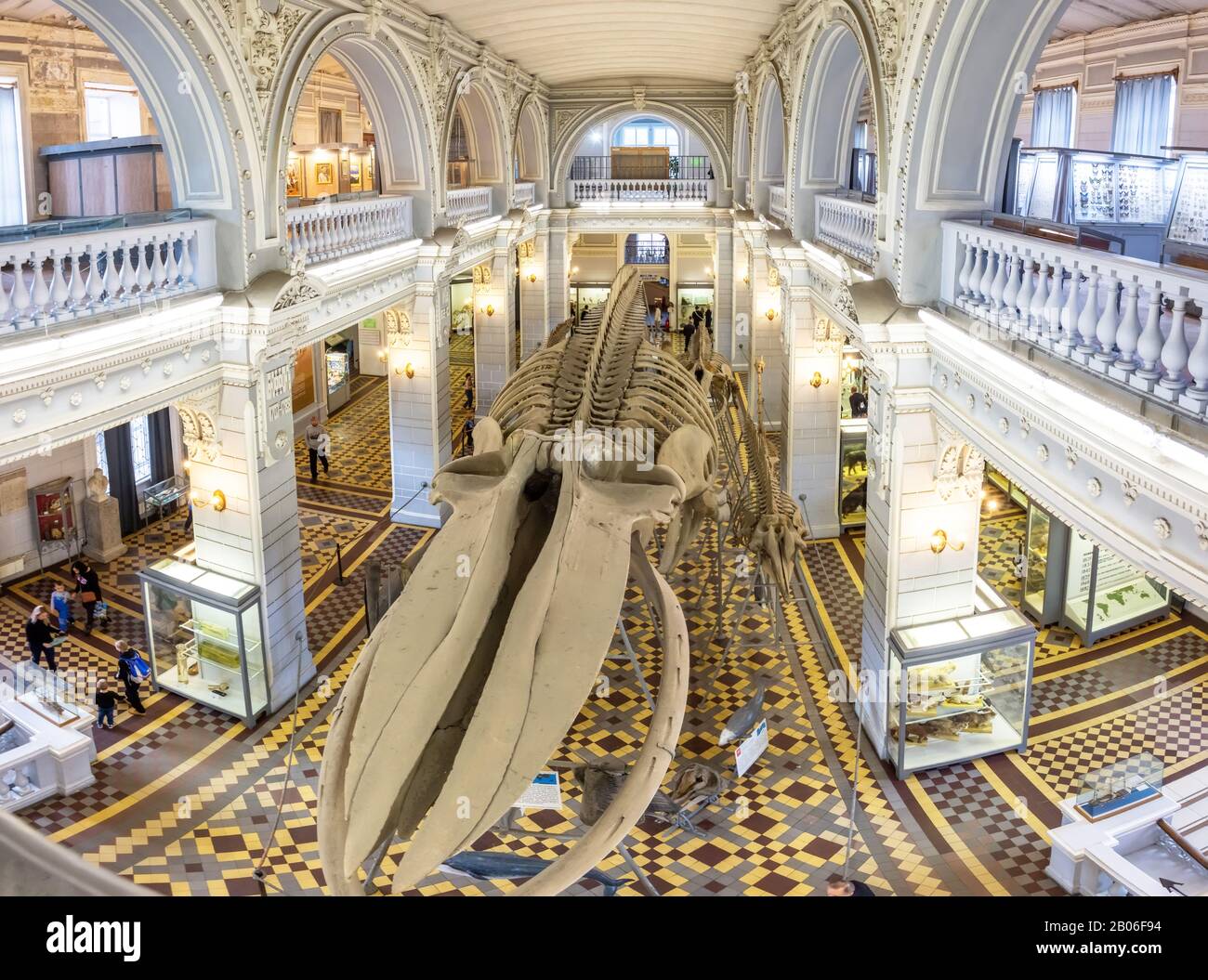 Zoological museum hi-res stock photography and images - Alamy