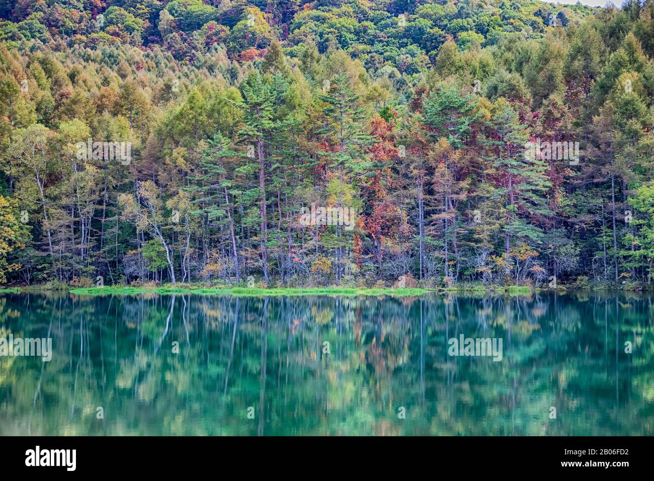 Autumn colour of Mishakaike Pond, Mishakaike pond is located in Chino ...