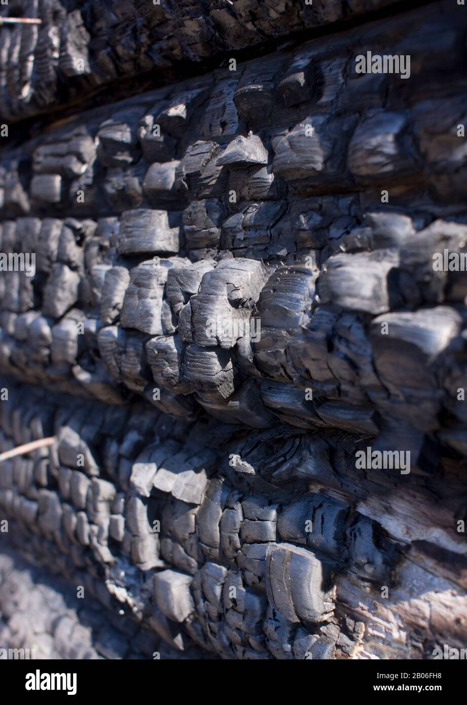 Natural fire ashes with dark grey black coals texture. It is a ...