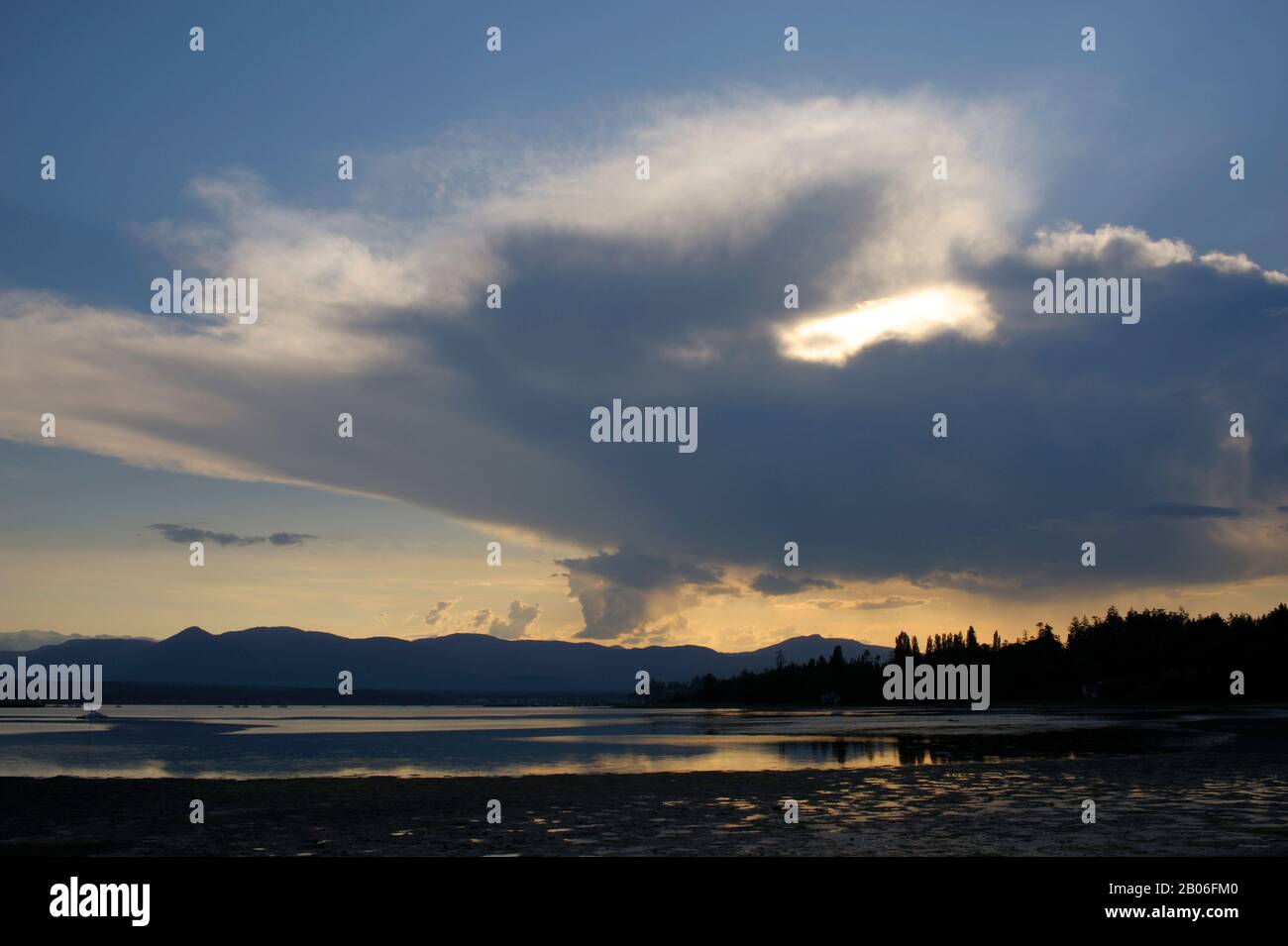 CANADA, BRITISH COLUMBIA, VANCOUVER ISLAND, COMOX, GOOSE SPIT, EVENING ...