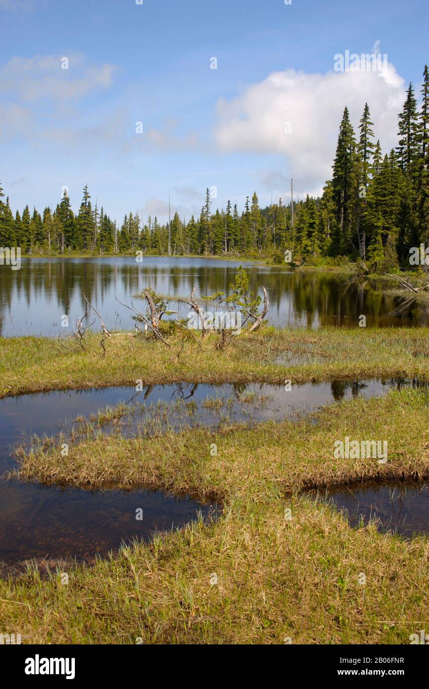 CANADA, BRITISH COLUMBIA, VANCOUVER ISLAND, STRATHCONA PROVINCIAL PARK ...