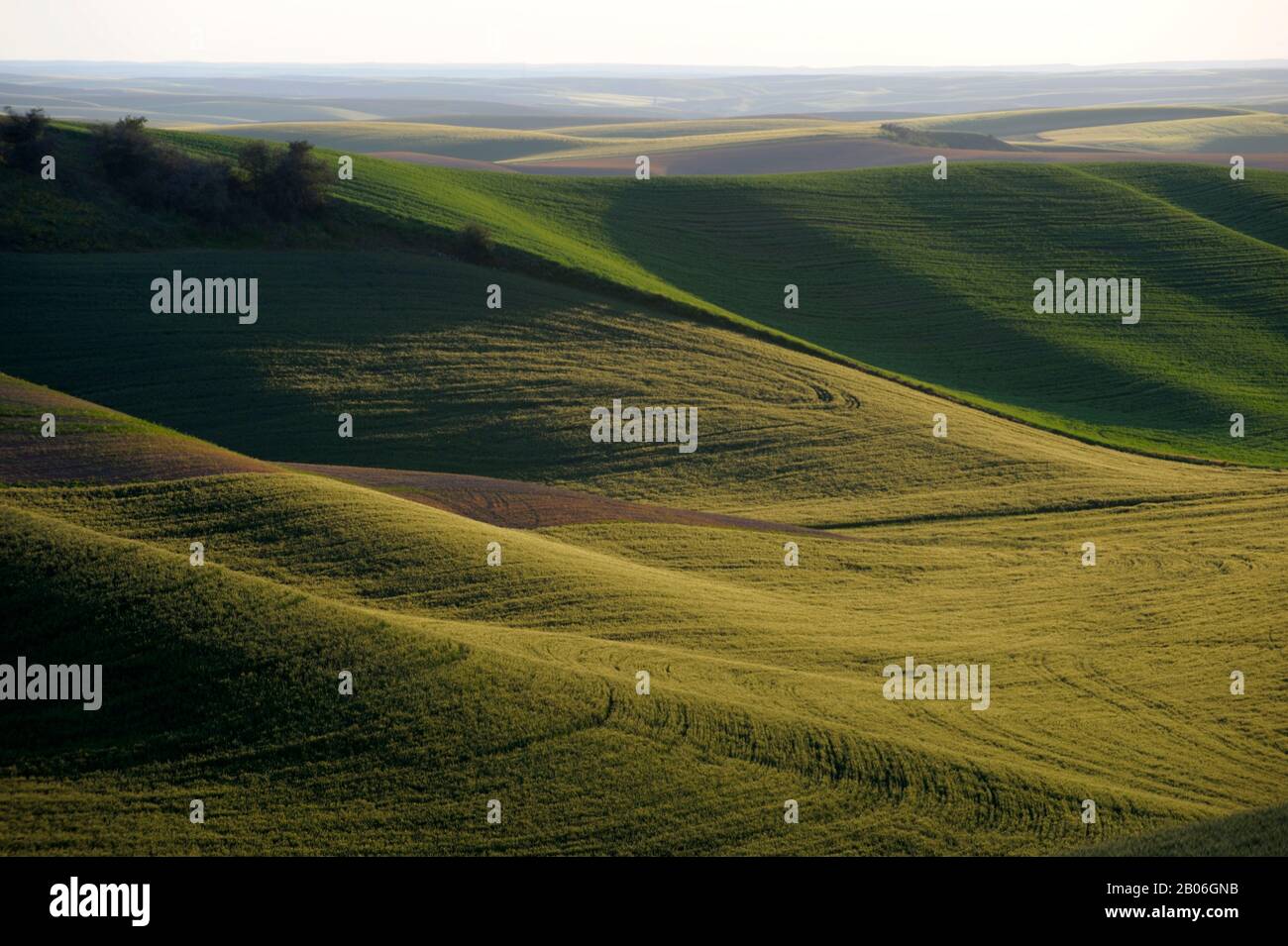 USA, WASHINGTON STATE, PALOUSE COUNTRY NEAR PULLMAN, VIEW OF ROLLING ...