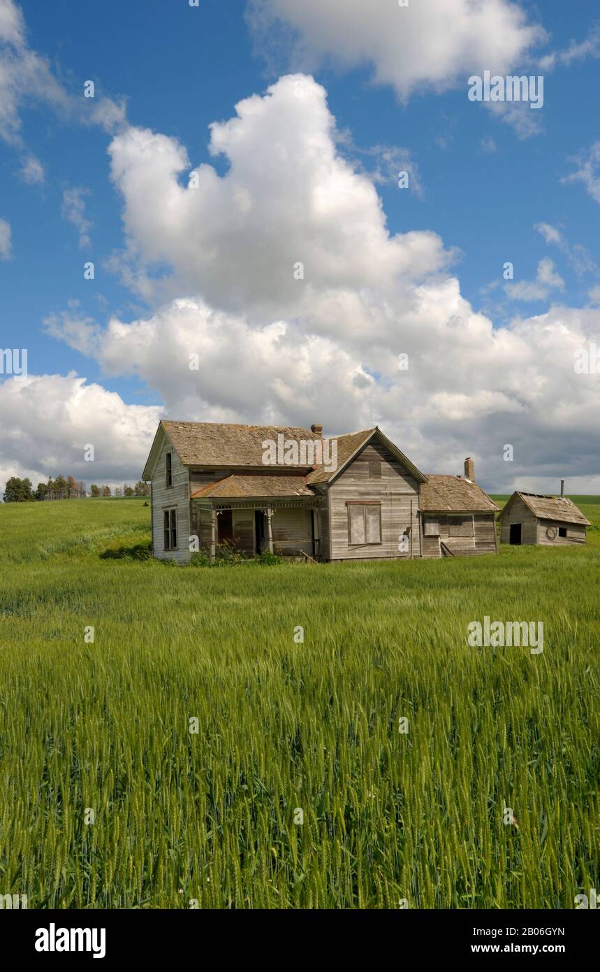 USA, WASHINGTON STATE, PALOUSE COUNTRY NEAR PULLMAN, ABANDONED FARM ...
