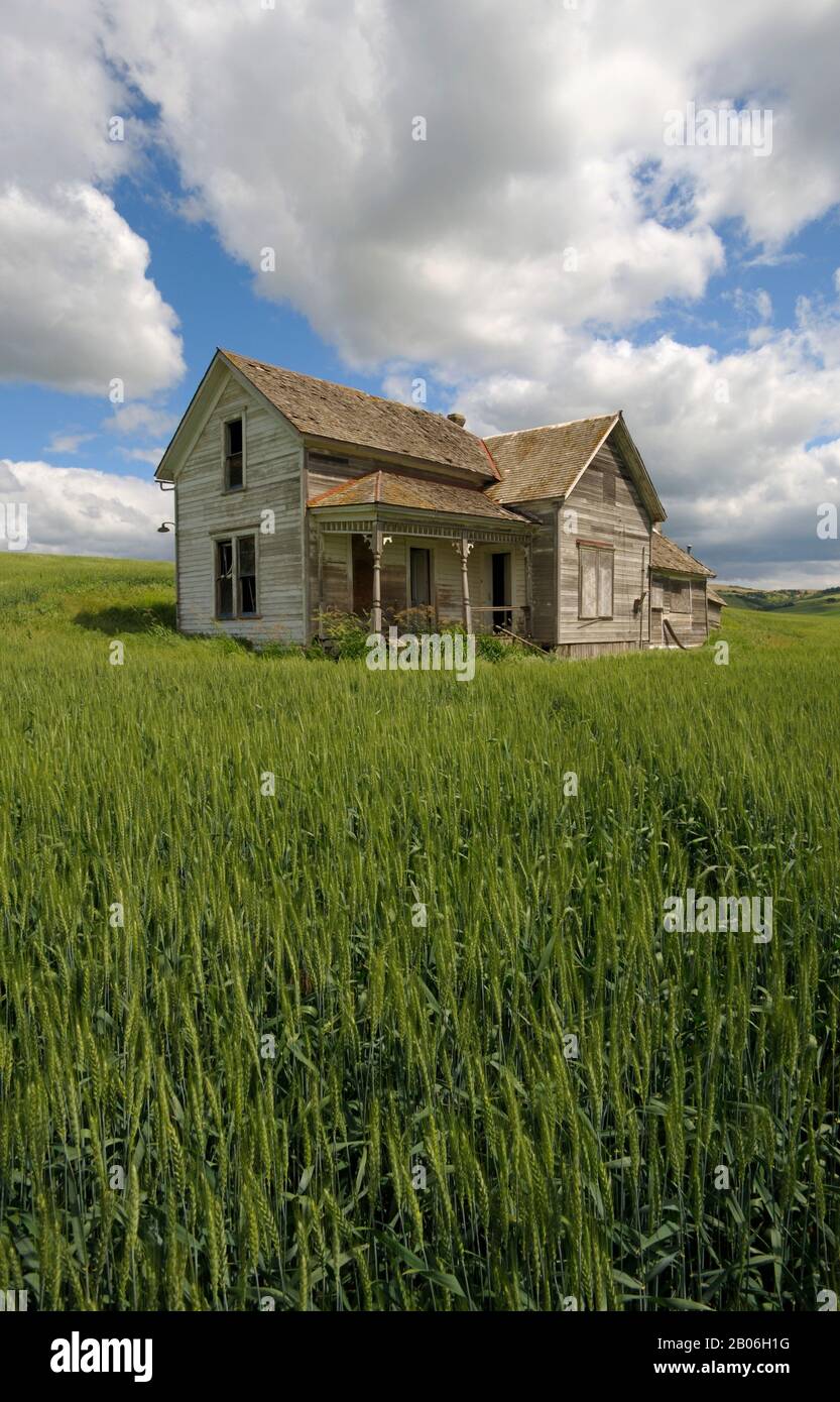 USA, WASHINGTON STATE, PALOUSE COUNTRY NEAR PULLMAN, ABANDONED FARM ...