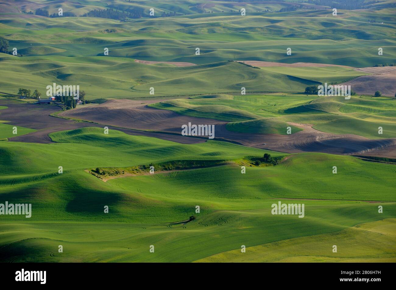 USA, WASHINGTON STATE, PALOUSE COUNTRY, VIEW FROM STEPTOE BUTTE OF ...