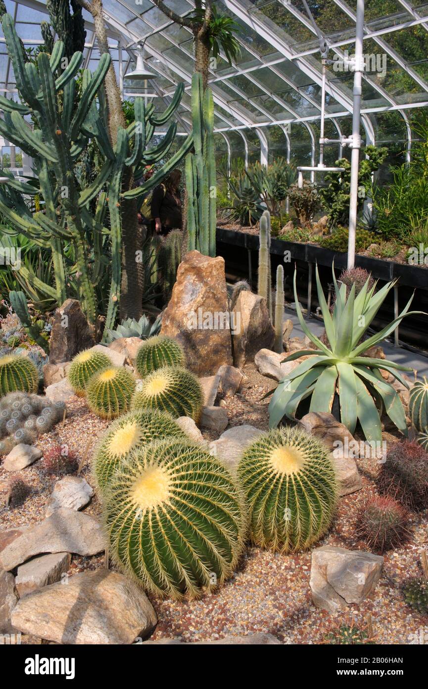 USA, WASHINGTON STATE, SEATTLE, CAPITOL HILL, VOLUNTEER PARK ...
