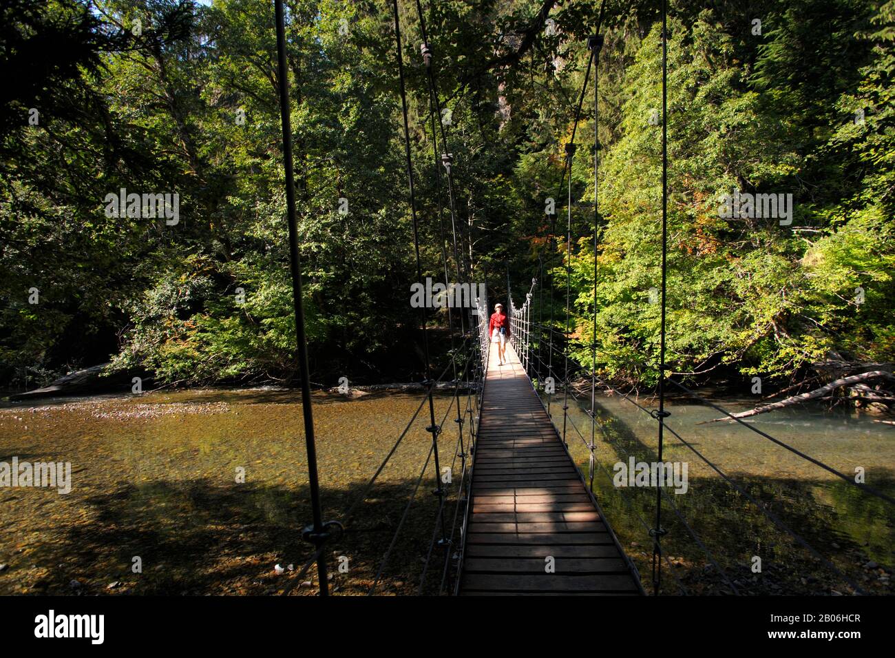 USA, WASHINGTON STATE, MOUNT RAINIER NATIONAL PARK, GROVE OF THE ...