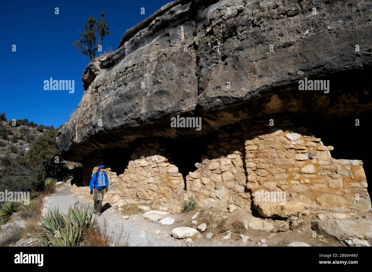 USA, ARIZONA, NEAR FLAGSTAFF, WALNUT CANYON NATIONAL MONUMENT, CANYON ...