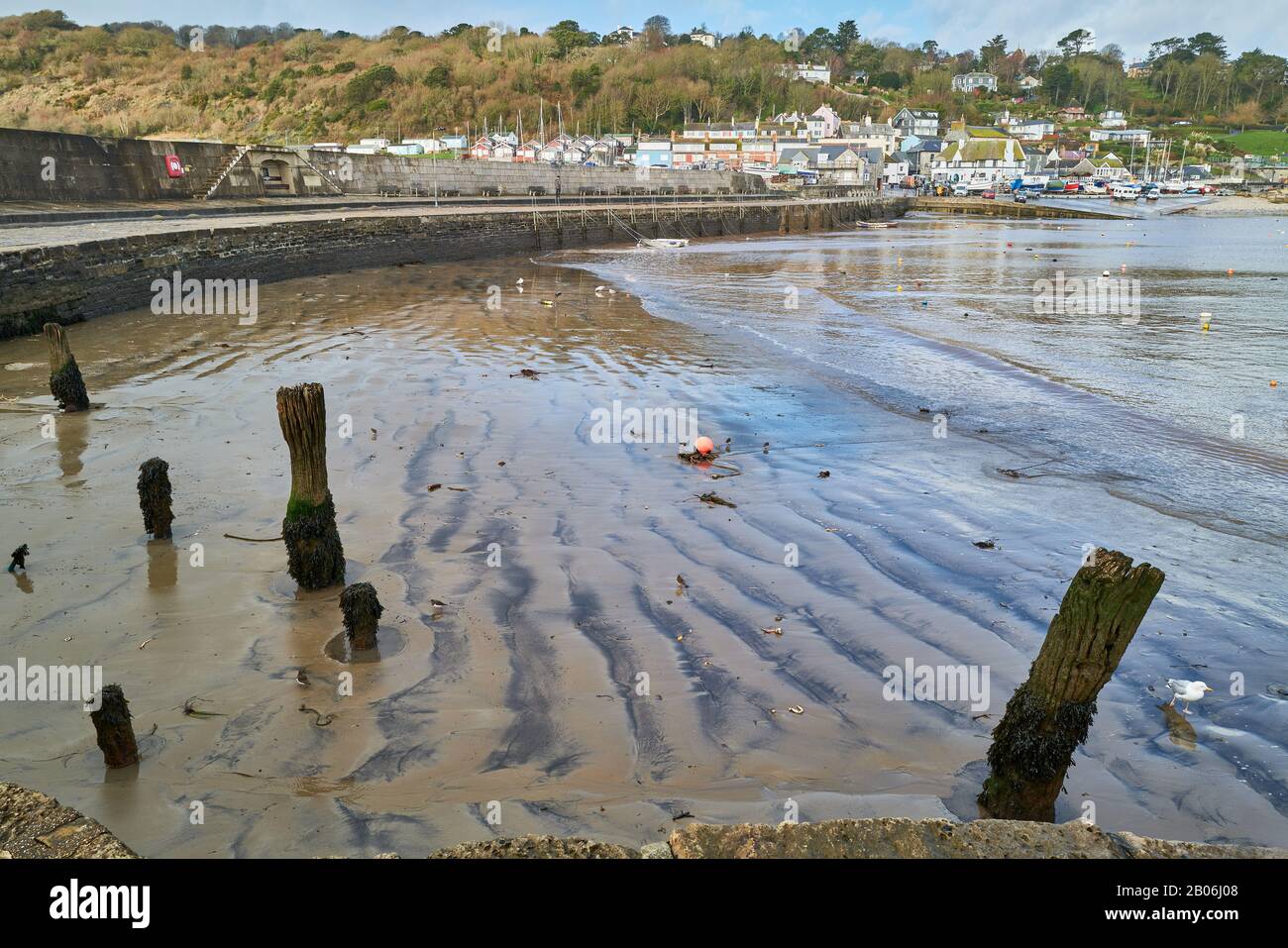 harbour in Lyme Bay at Lyme Regis on the English Channel coast at ...