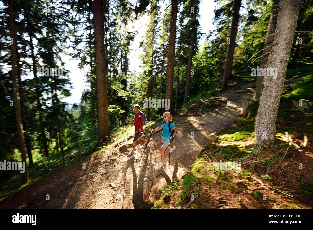 Hikers descending from the Hohe Salve through the forest, Hopfgarten ...