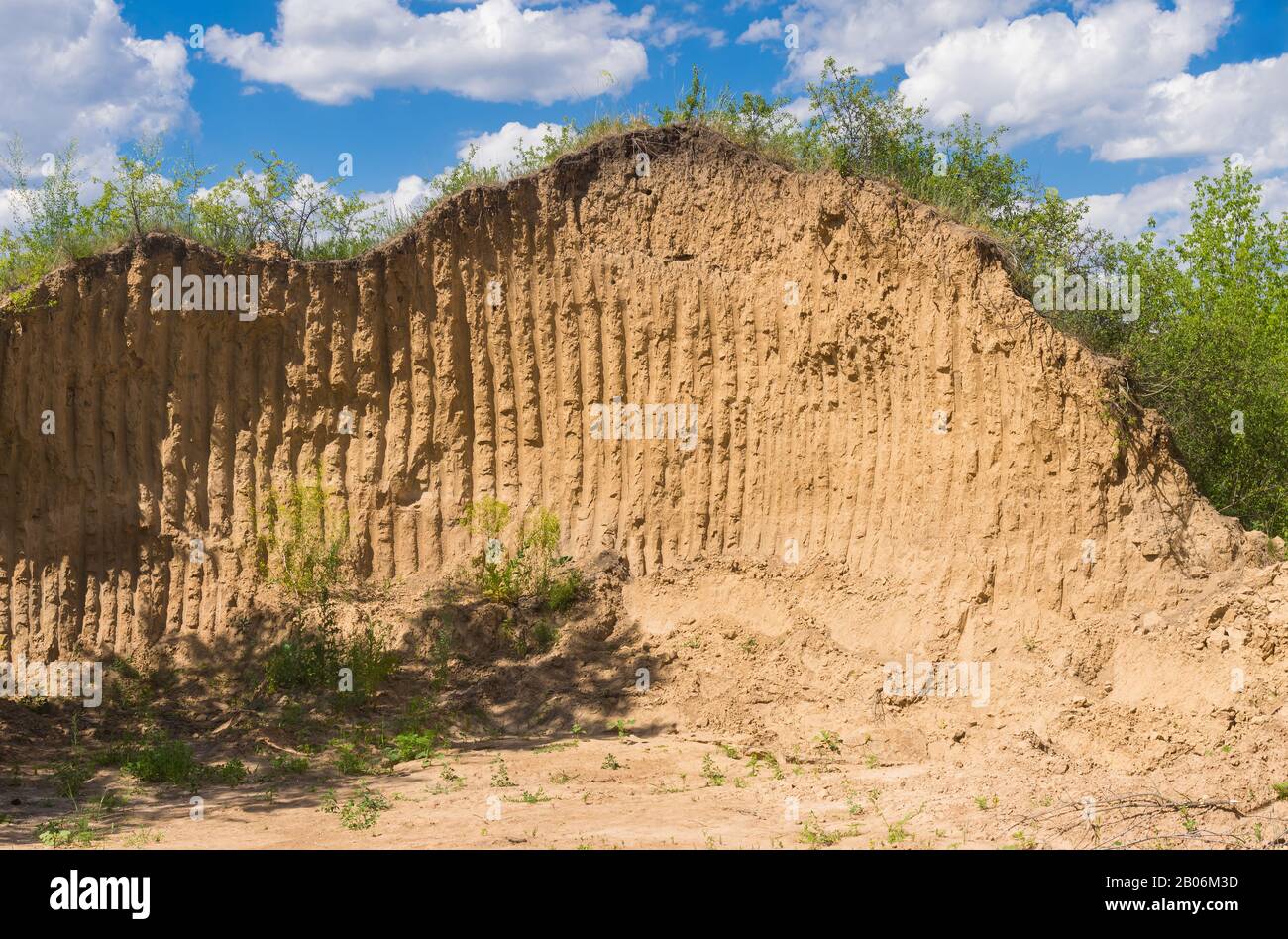 Summer landscape with wall of clay in section in an open clay pit in ...