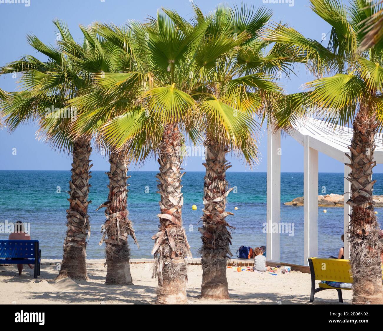 bench under the palm trees to relax by the sea on a bright summer day ...